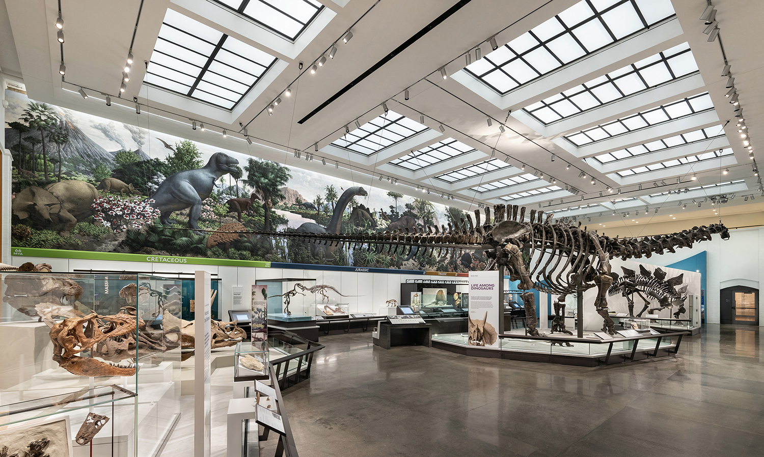 YALE PEABODY MUSEUM RENOVATION & EXPANSION - CBB